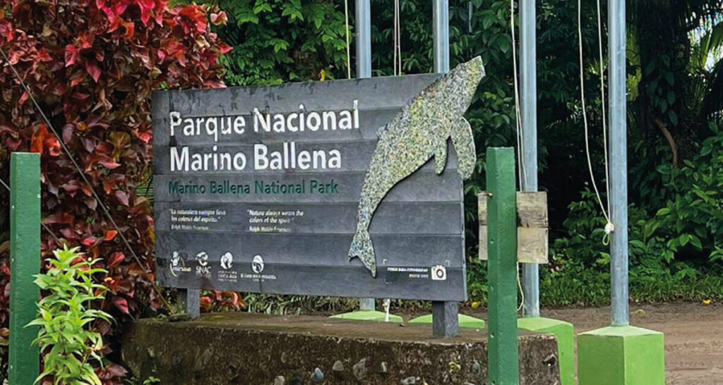 Cómo llegar al Parque Nacional Marino Ballena, Costa Rica