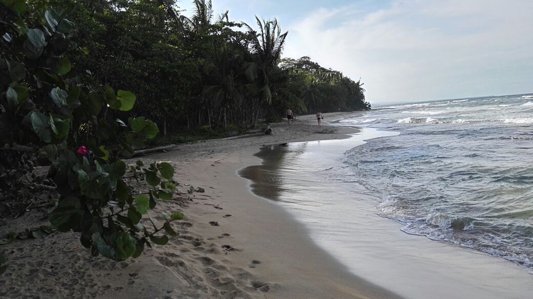 Explore Puerto Viejo: Six Stunning Beaches in Limón, Costa Rica