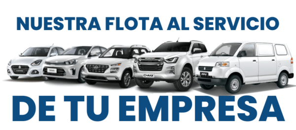Métricas clave para optimizar su flota vehicular